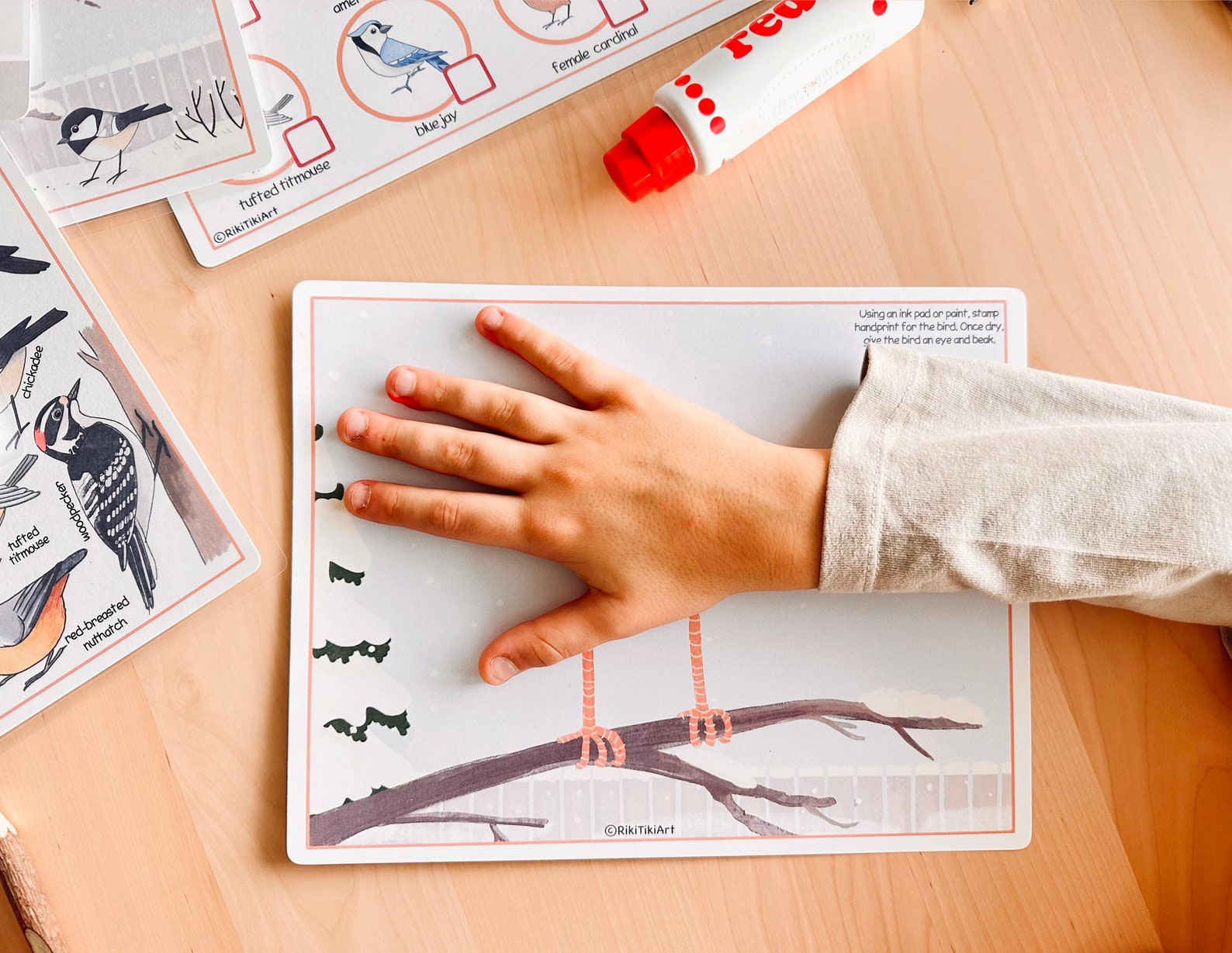 Winter Backyard Birds Unit Study Charlotte Mason Homeschool - Etsy