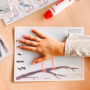 Winter Backyard Birds Unit Study Charlotte Mason Homeschool Learning ...