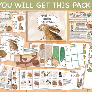 Rabbit Unit Study Homeschool Printables Easter Bunny Spring Learning ...