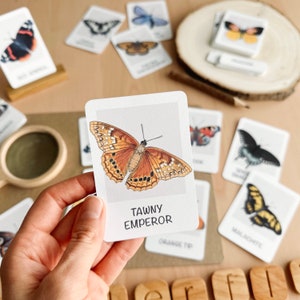 Butterfly Flash Cards Montessori Printable Homeschool Resources Toddler ...