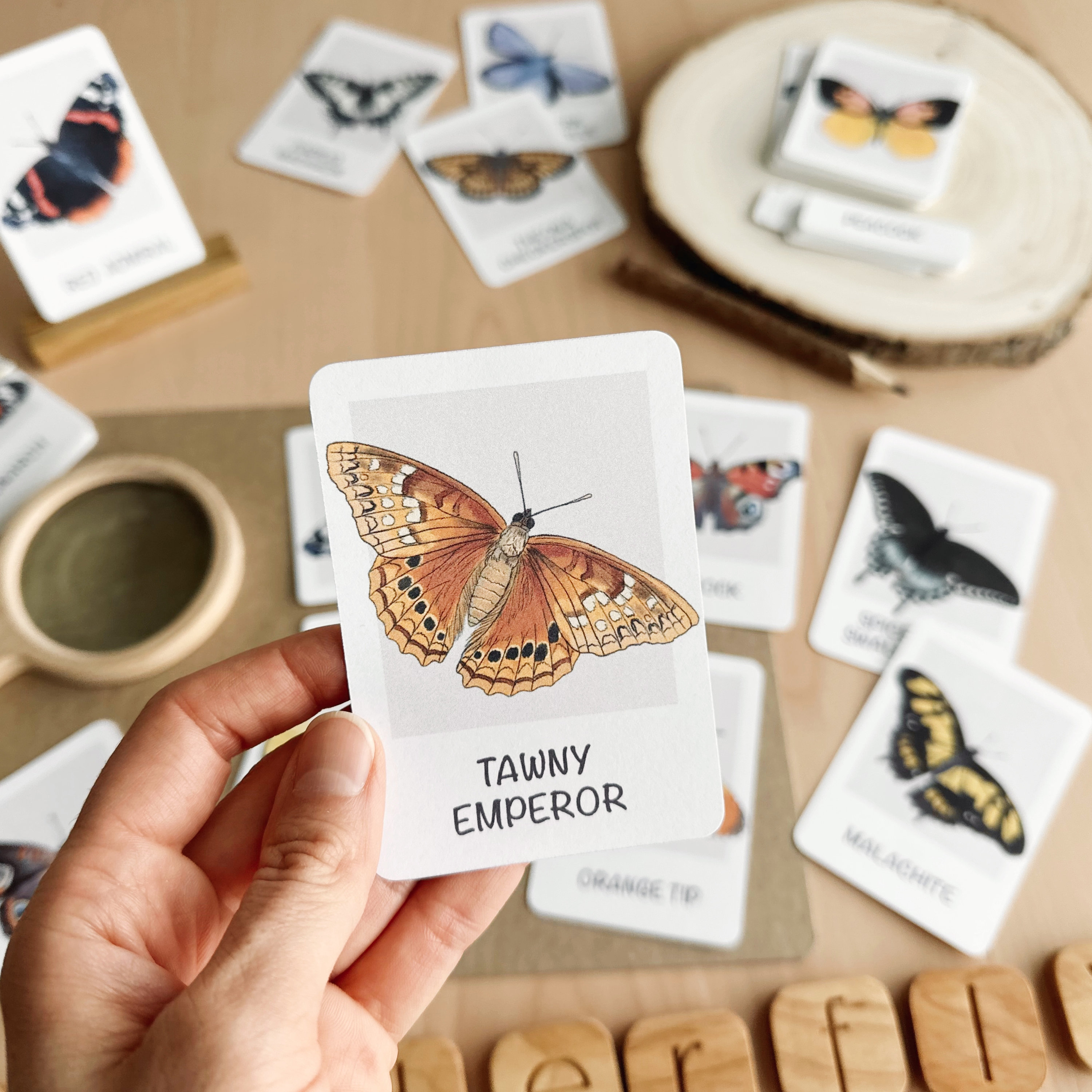 Butterfly Flash Cards Montessori Printable Homeschool Resources Toddler ...
