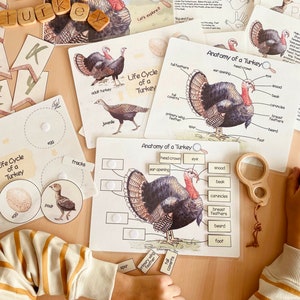 Turkey Unit Study Fall Homeschool Learning Materials Charlotte Mason ...