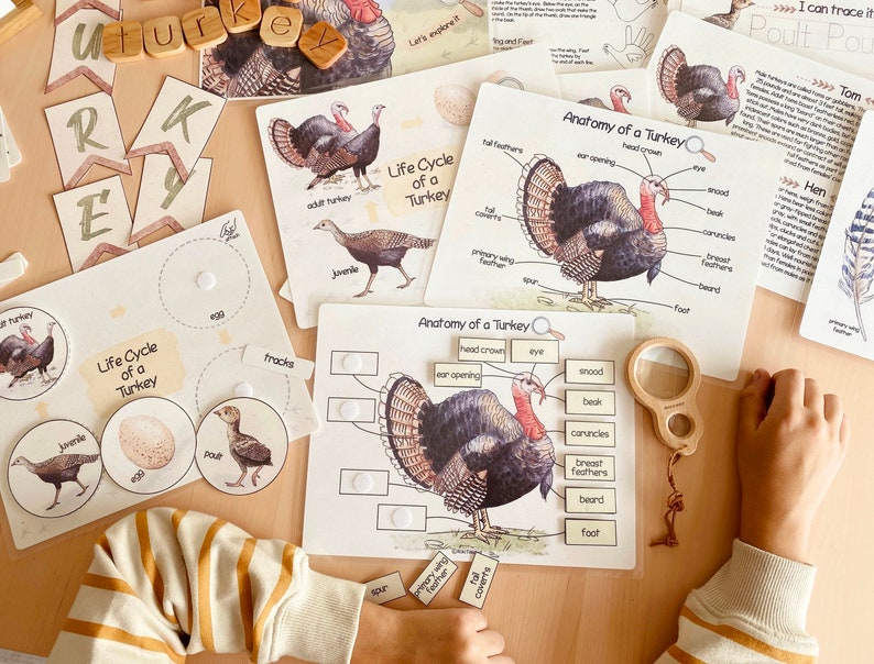 Turkey Unit Study Fall Homeschool Learning Materials Charlotte - Etsy