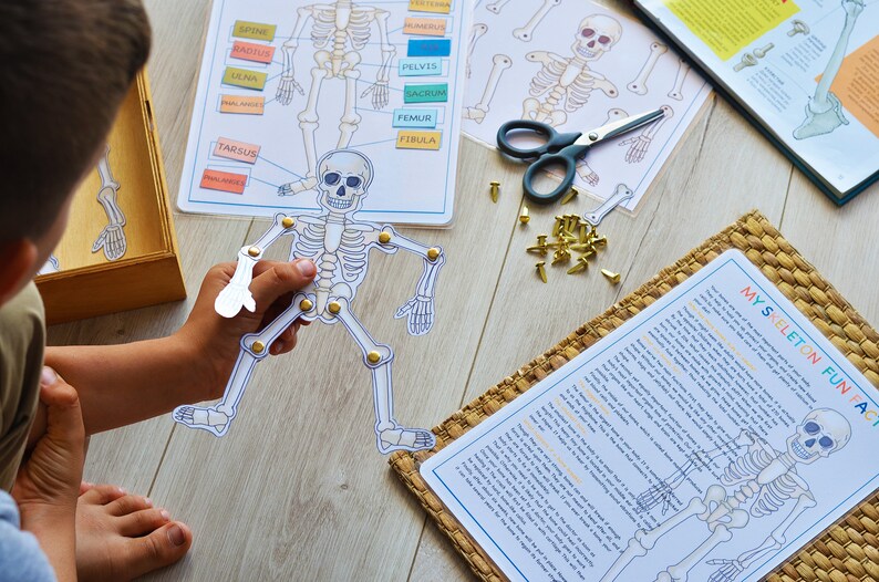 Human Skeleton Busy Book Page Printable Montessori Materials | Etsy UK