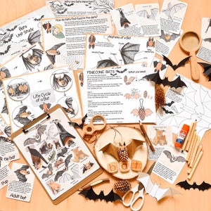 Bats Unit Study Homeschool Fall Activities Bat Anatomy & Life Cycle ...