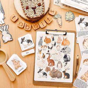 Rabbit Unit Study Homeschool Printables Easter Bunny Spring Learning ...