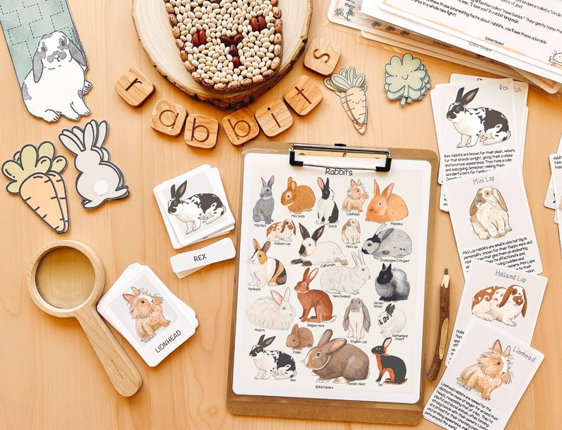 Rabbit Unit Study Homeschool Printables Easter Bunny Spring Learning ...