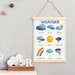 Weather Educational Posters Homeschool Montessori Downloadable - Etsy