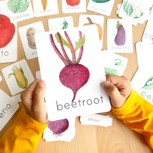 18 Watercolor Vegetables Flash Cards for Kids Vegetable Flashcards for ...