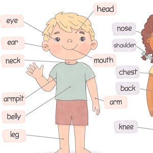 Body Parts Poster Montessori Homeschool Educational Posters for ...