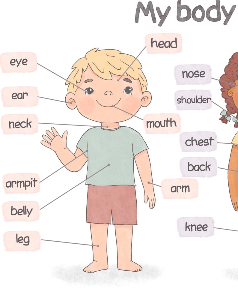 Body Parts Poster Montessori Homeschool Educational Posters - Etsy