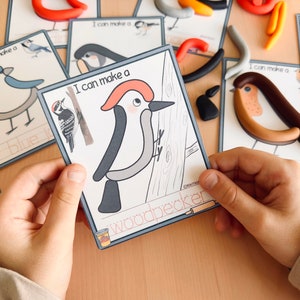 Backyard Birds Play Dough Mats Fine Motor Skills Visual Cards ...