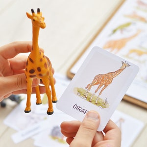 Safari Animals Flashcards, Printable Montessori Materials, Homeschool ...