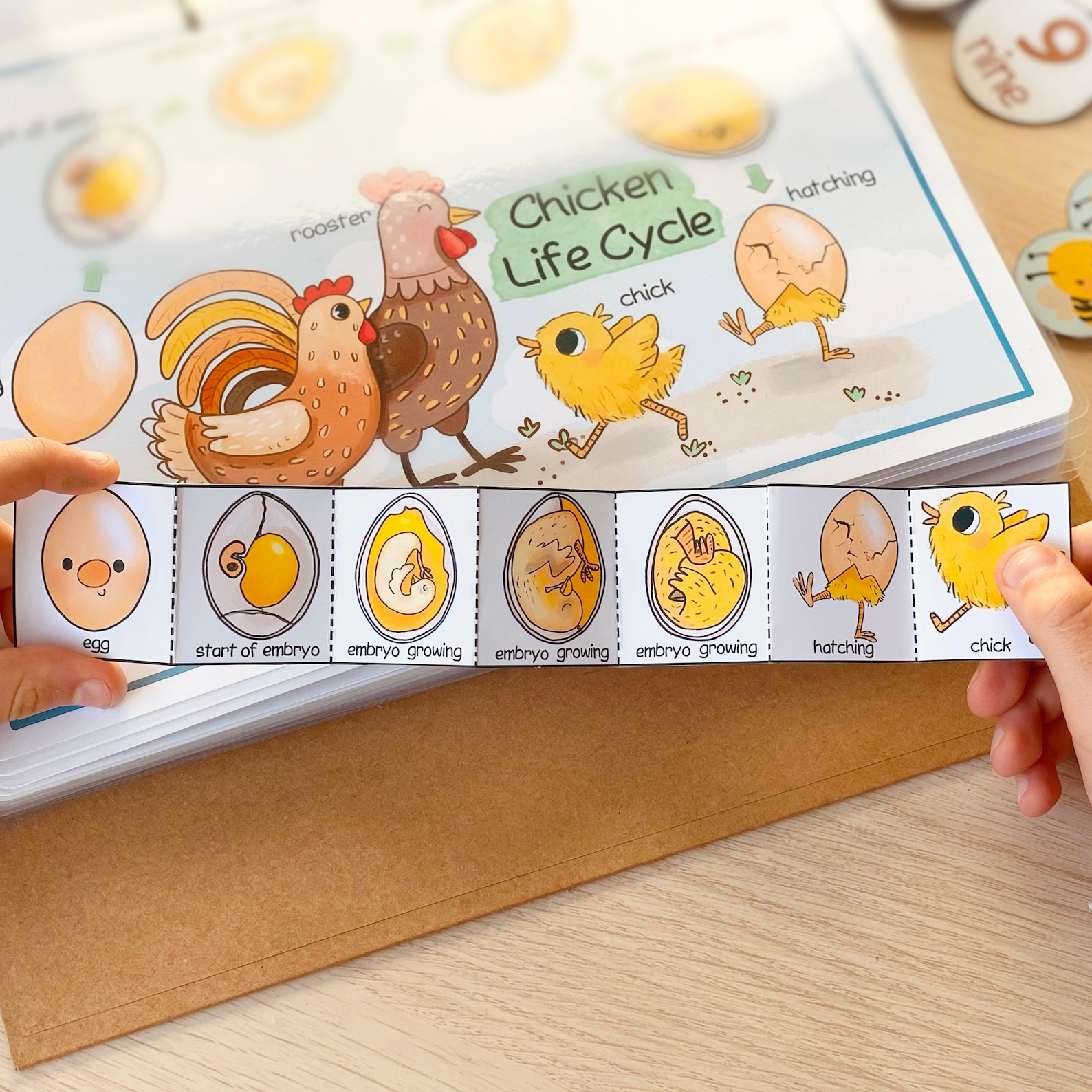 Busy Books MEGA BUNDLE Set of 23 Printable Preschool Binders for ...