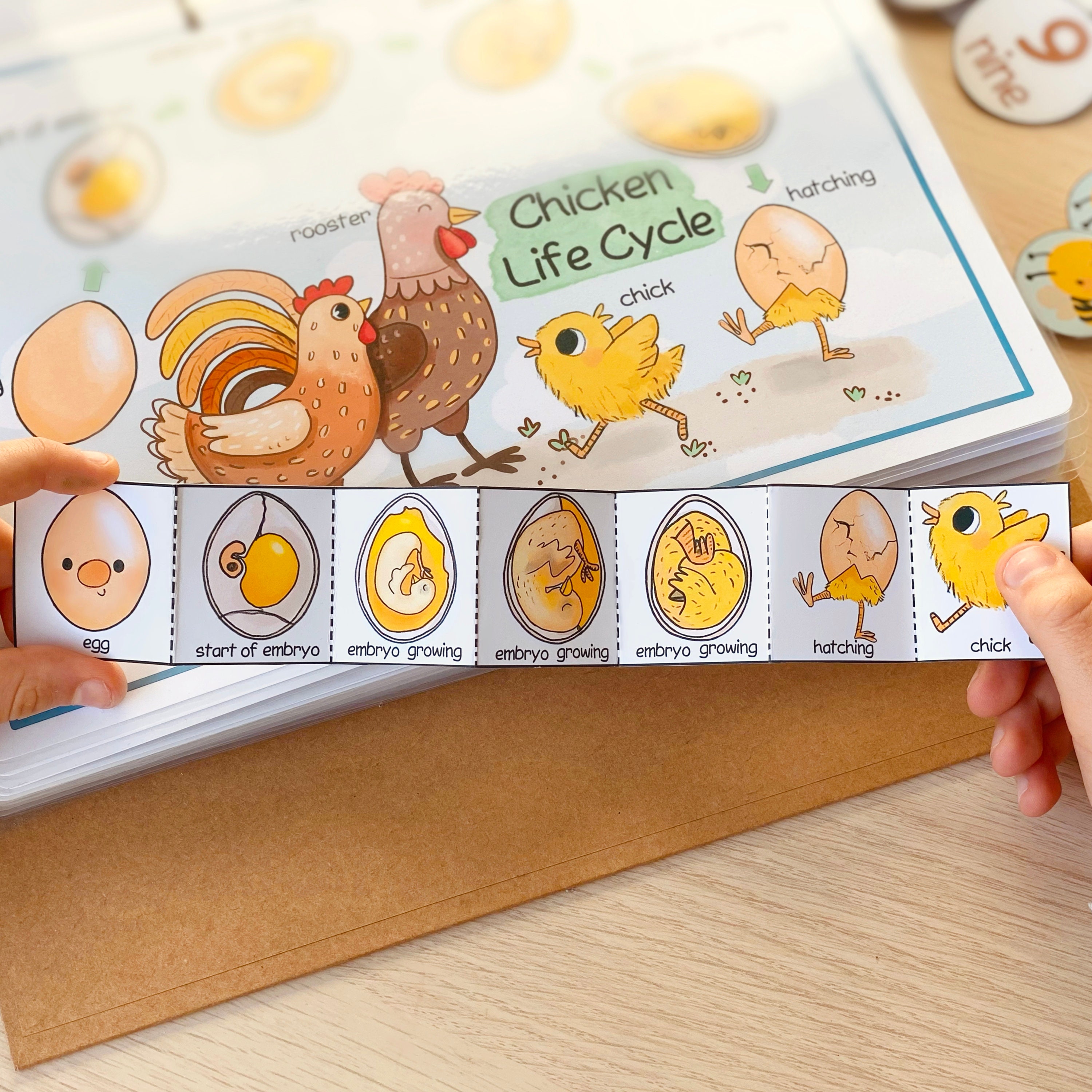 Busy Books MEGA BUNDLE Set of 23 Printable Preschool Binders for ...