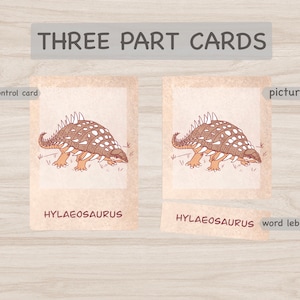 Dinosaur Flashcards, Printable Montessori Materials, Homeschool ...