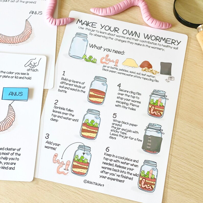 Worms Unit Study Charlotte Mason Printable Resources | Etsy