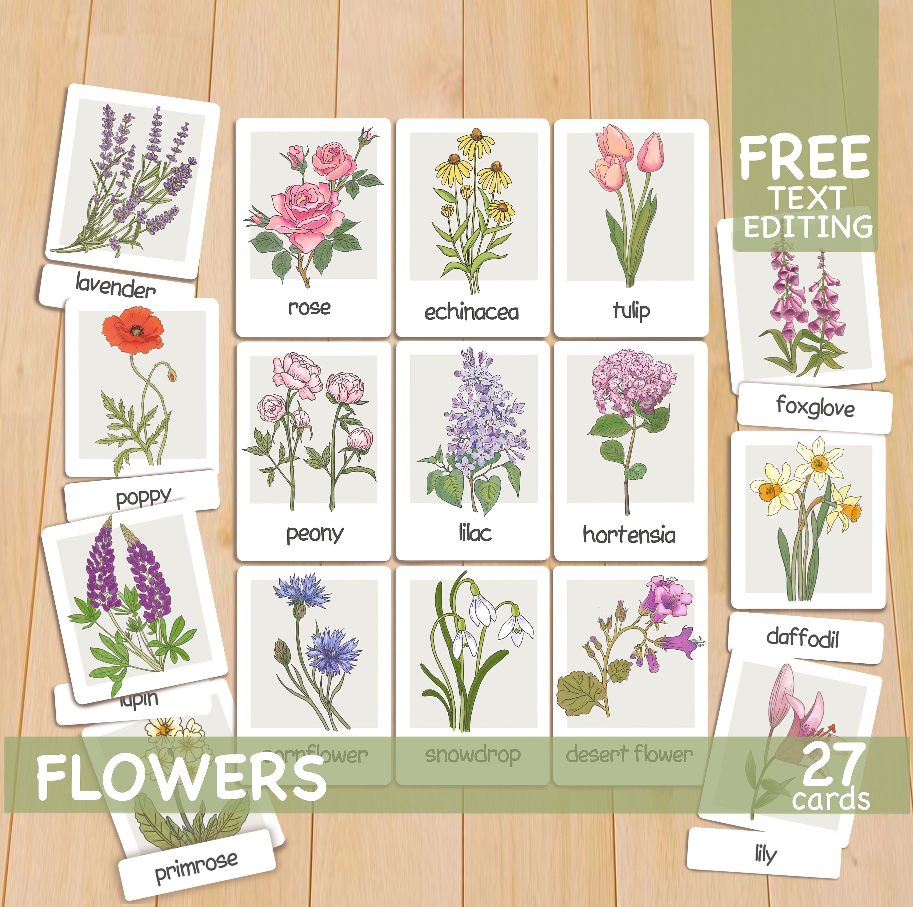 Flowers Flashcards Charlotte Mason Preschool Printables - Etsy Canada