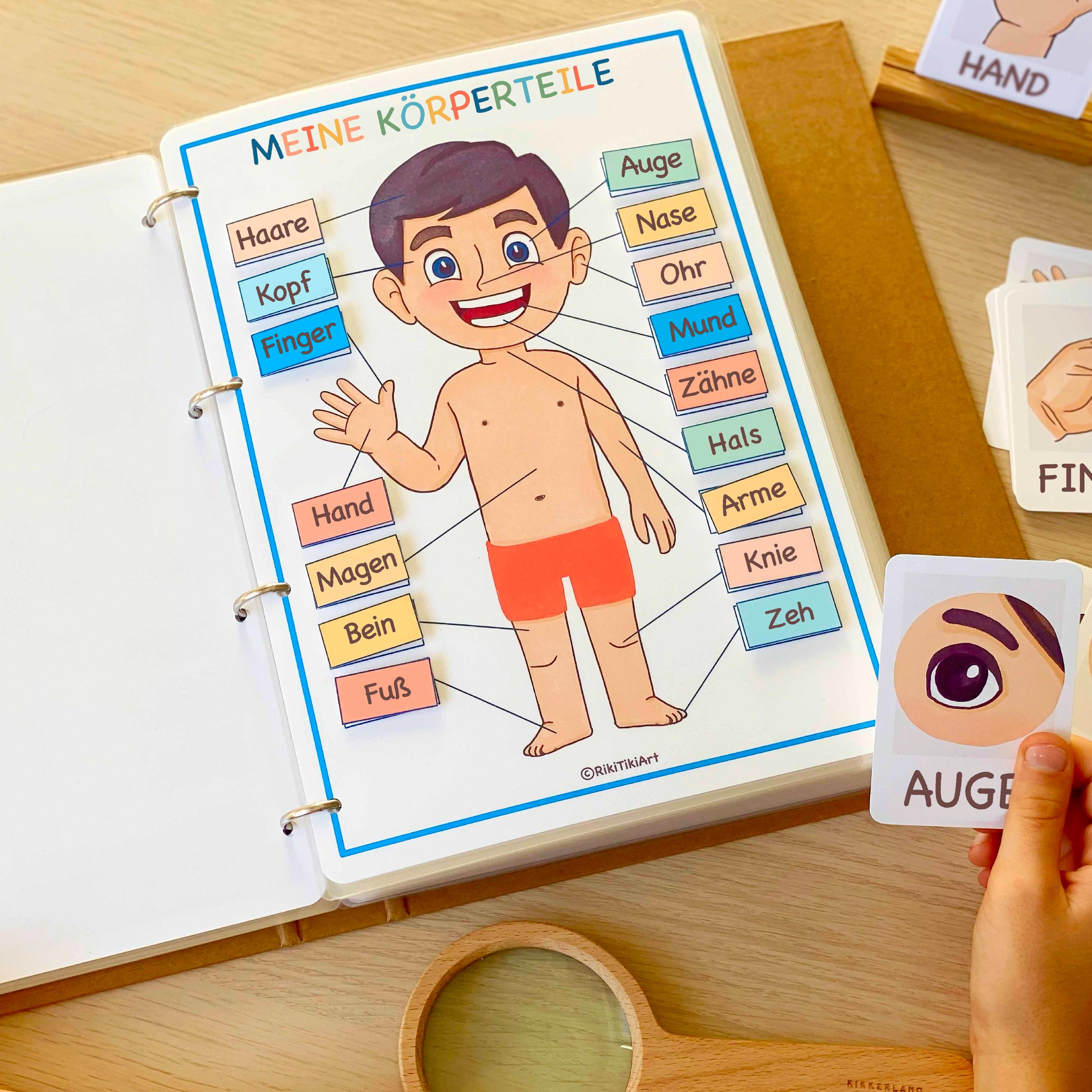 German Human Anatomy Busy Book Homeschool Human Body Unit Study ...
