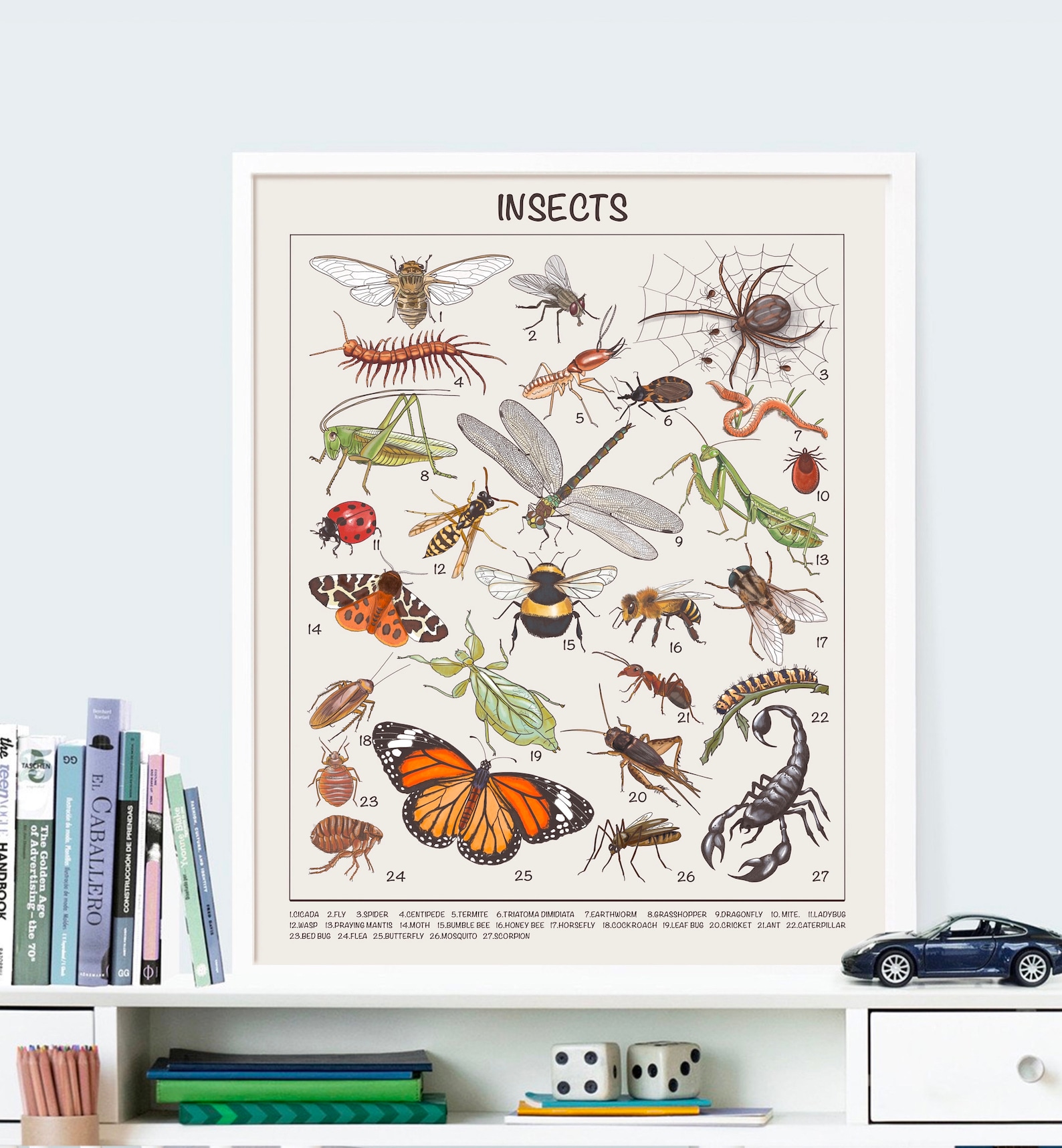Insects Educational Posters Classroom Posters Montessori Decor | Etsy