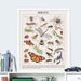 Insects Educational Posters Classroom Posters Montessori Decor ...