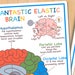 Human Brain Anatomy Bundle, Printable Homeschool Curriculum Preschool ...