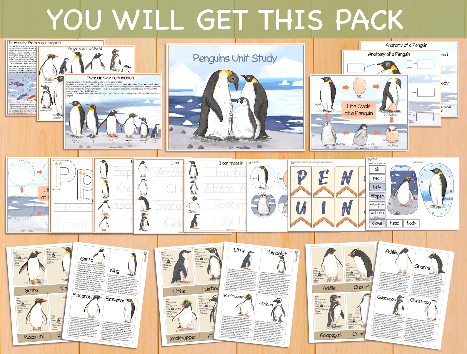 Penguins Unit Study Winter Homeschool Learning Materials - Etsy