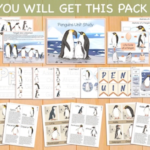 Penguins Unit Study Winter Homeschool Learning Materials Charlotte ...