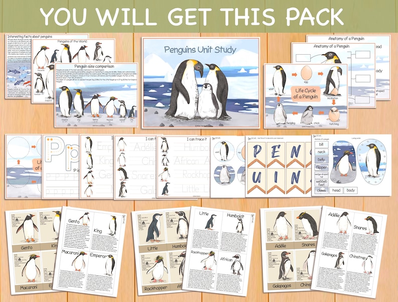 Penguins Unit Study Winter Homeschool Learning Materials - Etsy