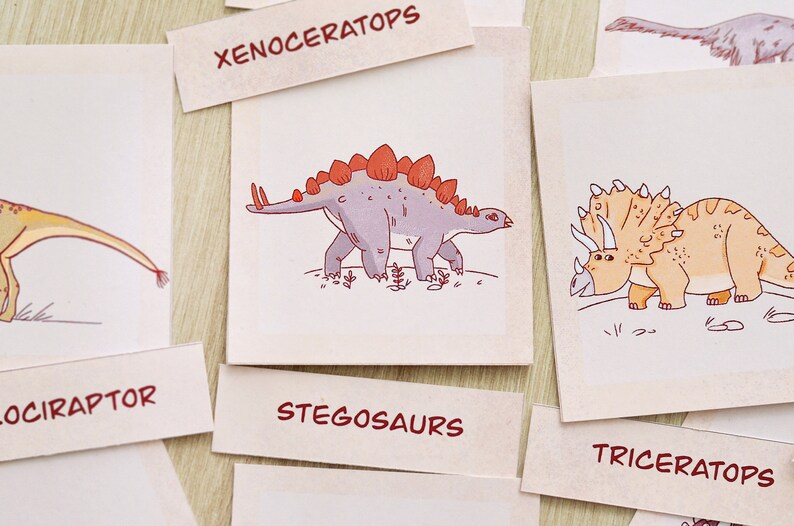 Dinosaur Flashcards Printable Montessori Materials - Etsy