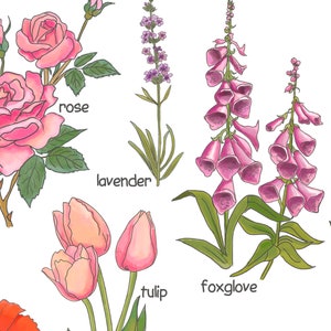 Flowers Poster Homeschool Educational Posters Classroom Playroom ...