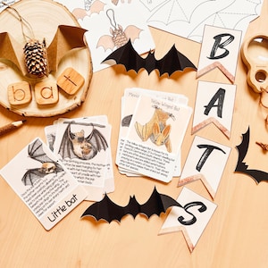 Bats Unit Study Homeschool Fall Activities Bat Anatomy & Life Cycle ...