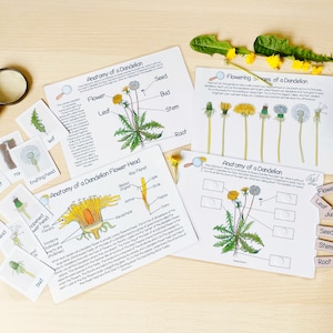 Printable Nature Journal Homeschool Learning Materials Charlotte Mason ...