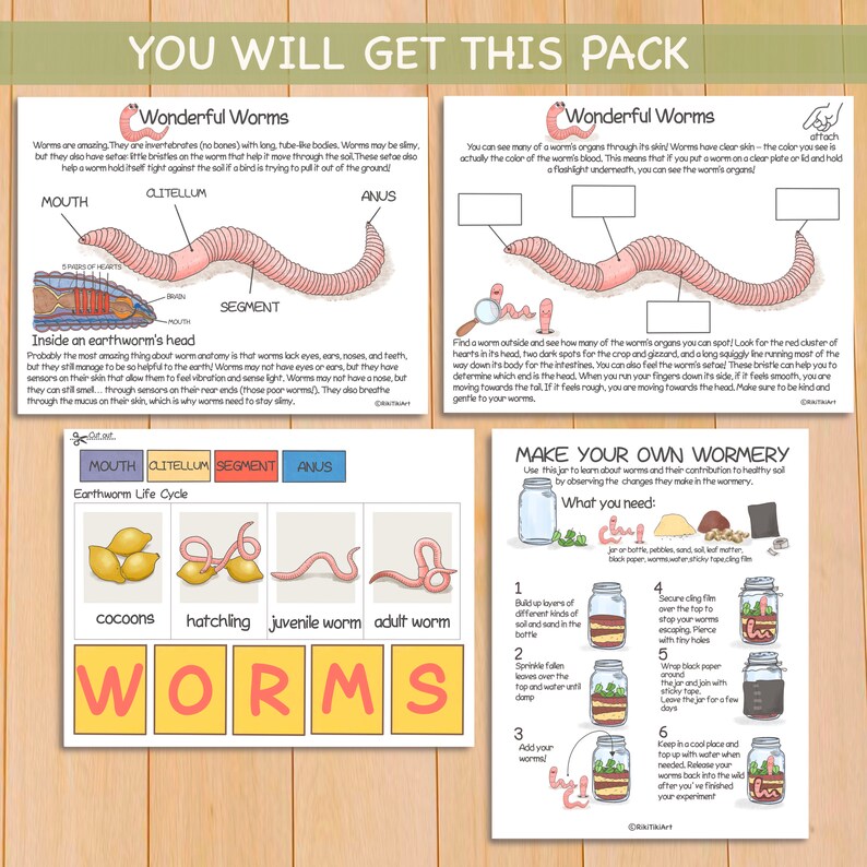 Worms Unit Study Charlotte Mason Printable Resources - Etsy