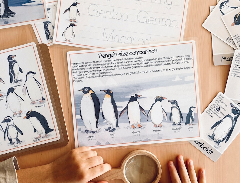 Penguins Unit Study Winter Homeschool Learning Materials - Etsy