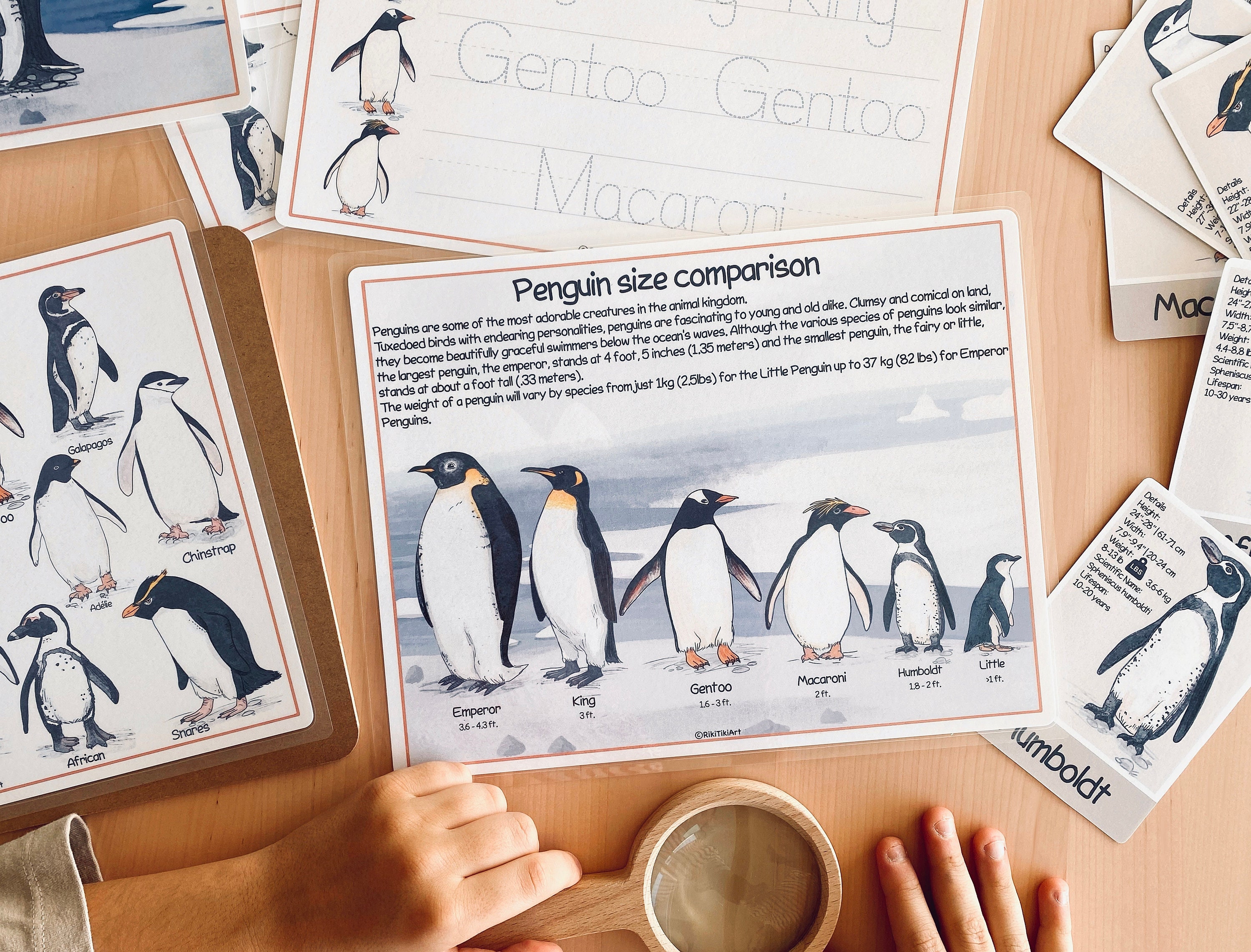 Penguins Unit Study Winter Homeschool Learning Materials Charlotte ...