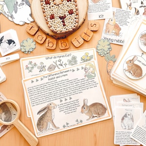 Rabbit Unit Study Homeschool Printables Easter Bunny Spring Learning ...