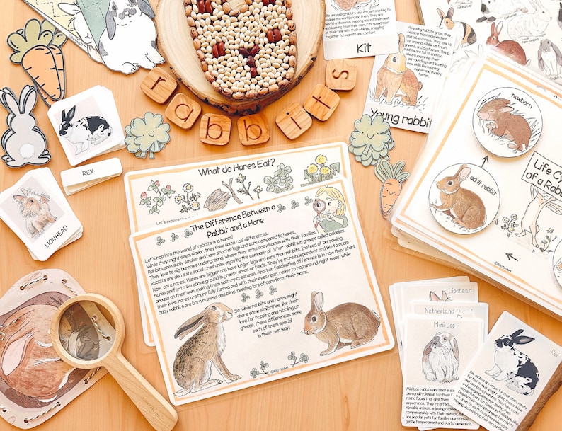 Rabbit Unit Study Homeschool Printables Easter Bunny Spring Learning ...
