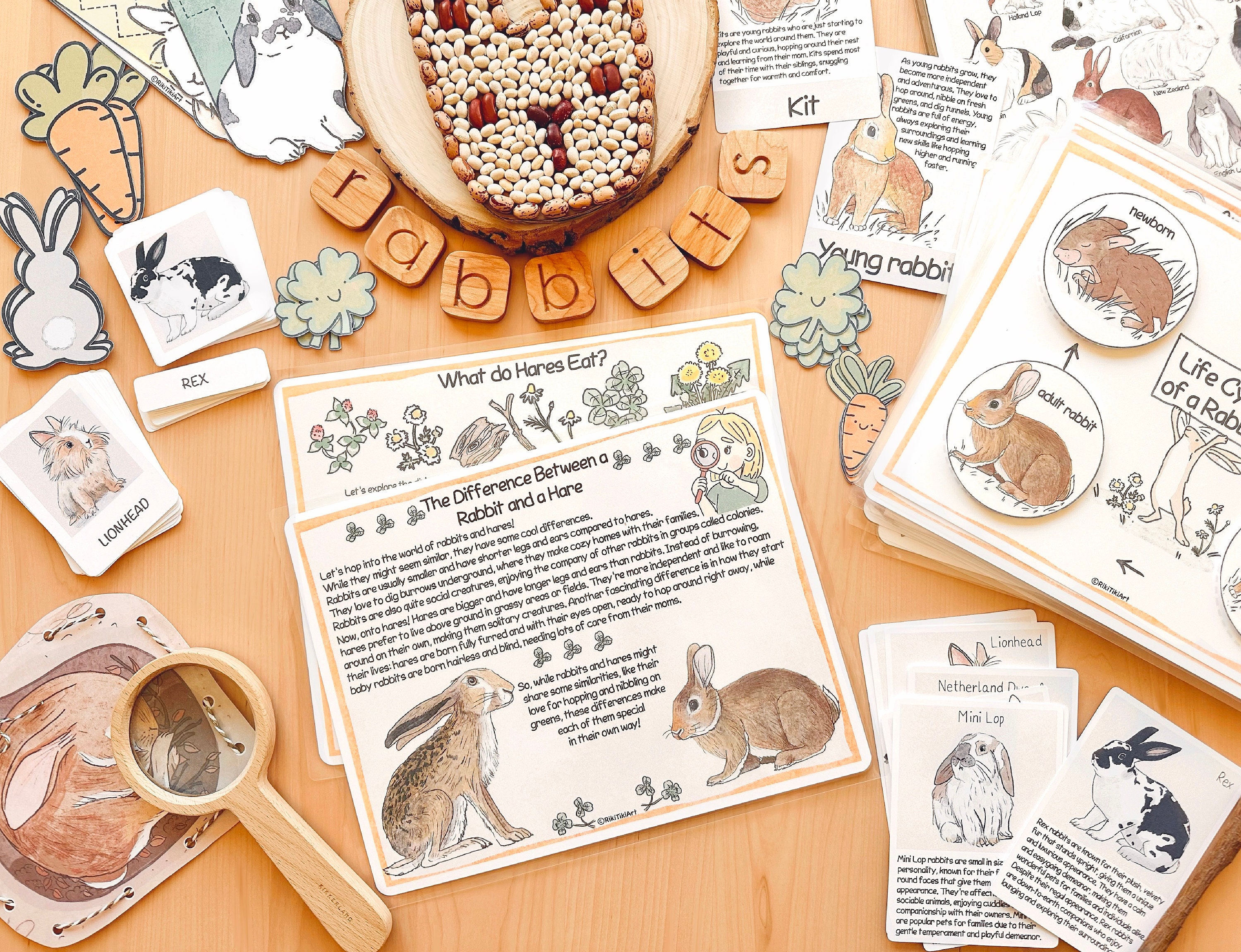 Rabbit Unit Study Homeschool Printables Easter Bunny Spring Learning ...