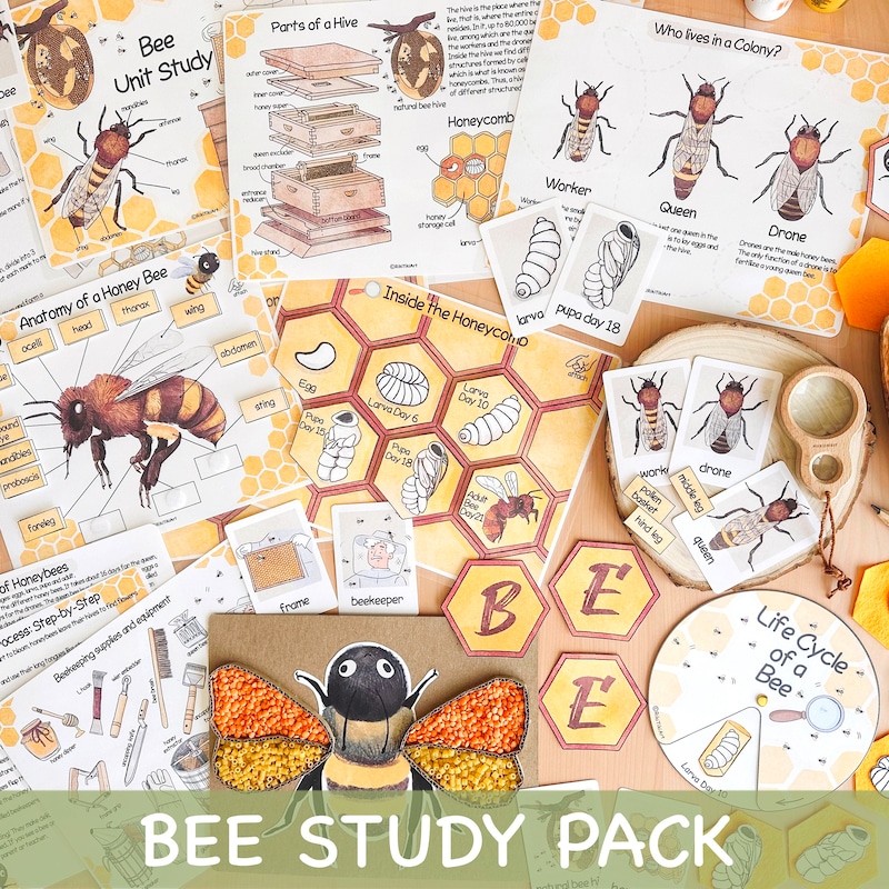 Honey Bee Unit - Etsy