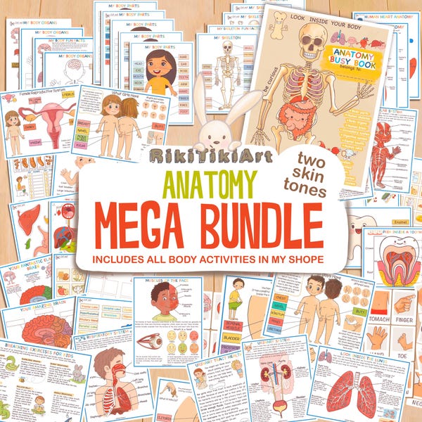 Human Anatomy Printable - Etsy