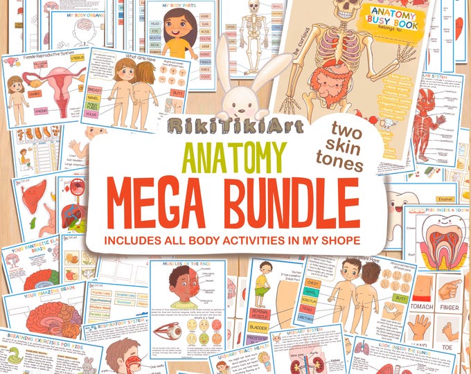 MY BODY Human Anatomy Matching Game Light Skin. Learn Human Organs ...