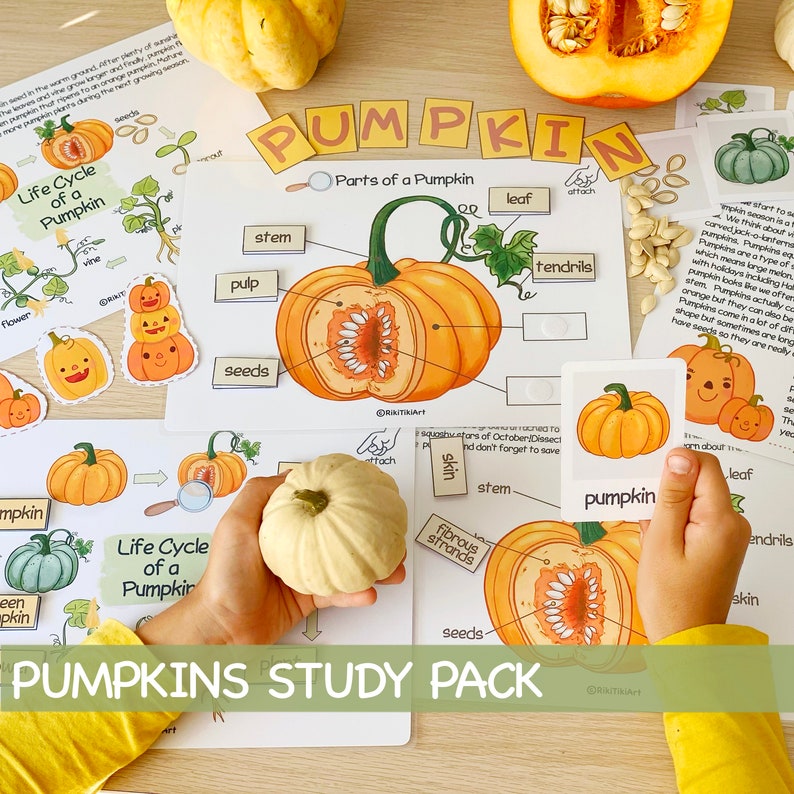 Pumpkin Unit Study Homeschool Learning Materials Charlotte Mason ...