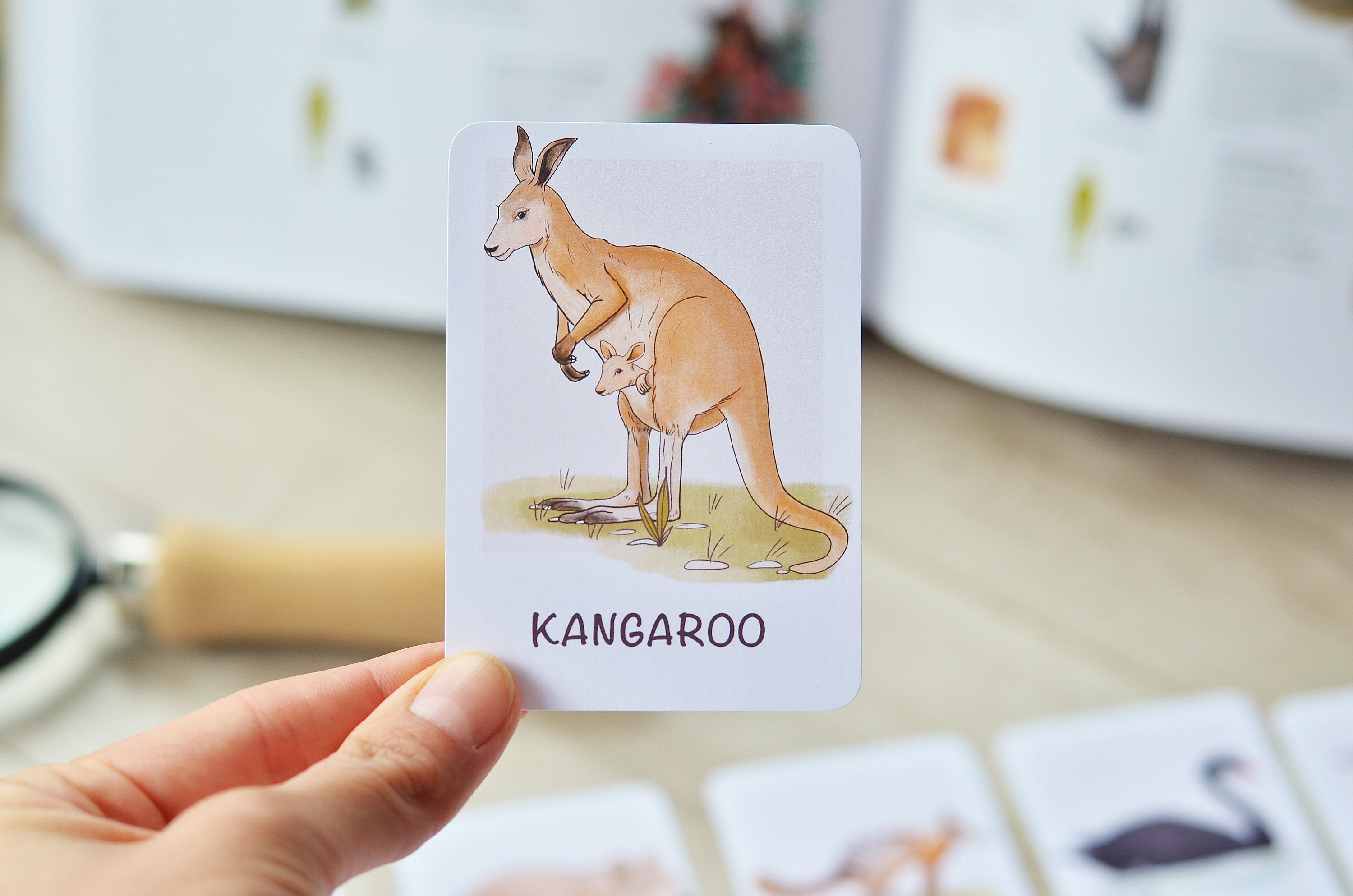 Toddler Flash Cards Australian Animals Flashcards - Etsy Singapore