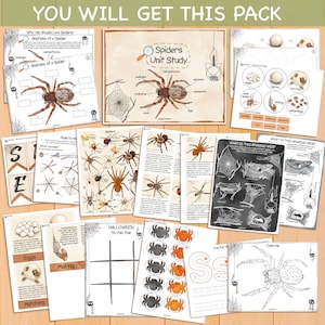 Spider Unit Study Homeschool Fall Activities Spider Life Cycle ...