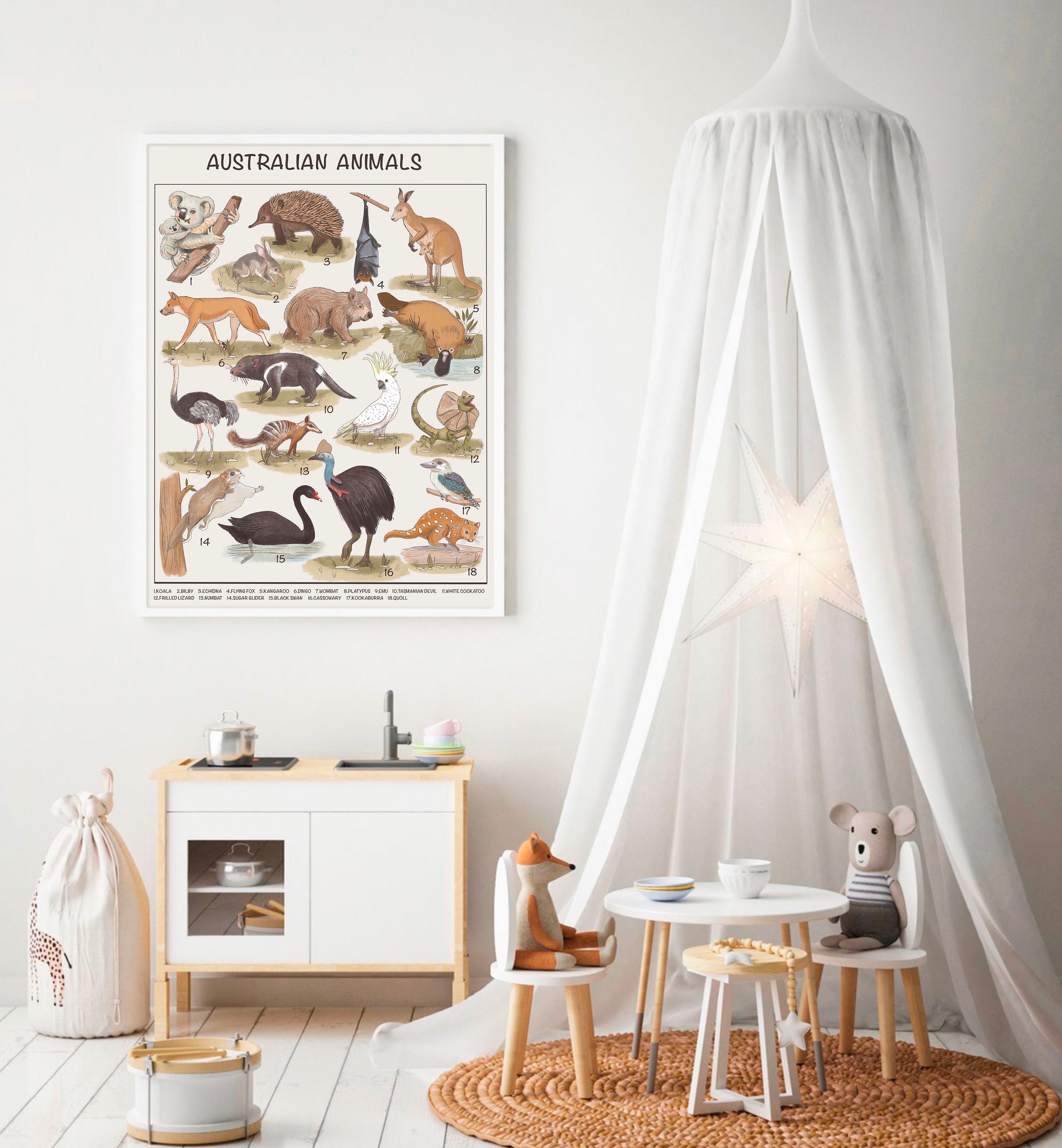 Australian Animals Educational Poster Homeschool Montessori | Etsy