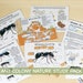 Spider Unit Study Homeschool Fall Activities Spider Life Cycle ...