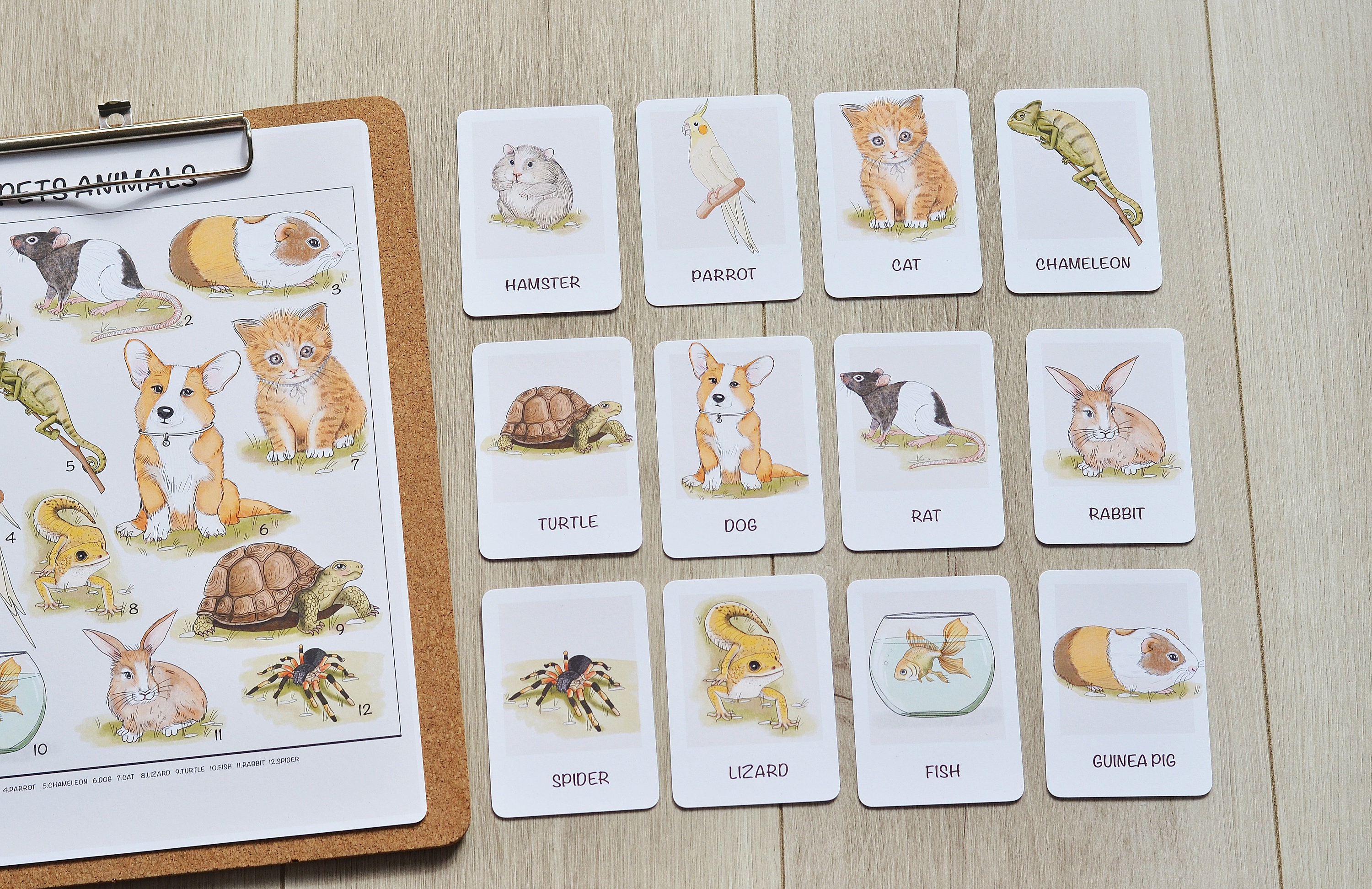Pets Flashcards Homeschool Montessori Materials Flash Cards | Etsy
