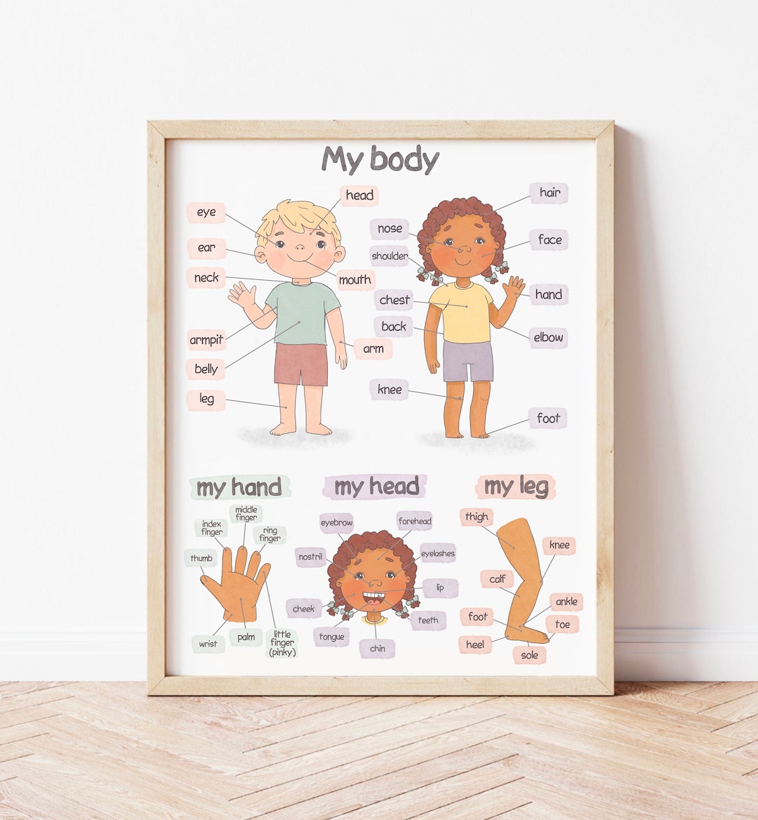 Body Parts Poster Montessori Homeschool Educational Posters for ...