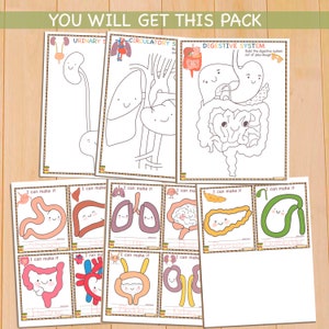 Human Organs Play Dough Mats Fine Motor Skills Preschool Printables ...